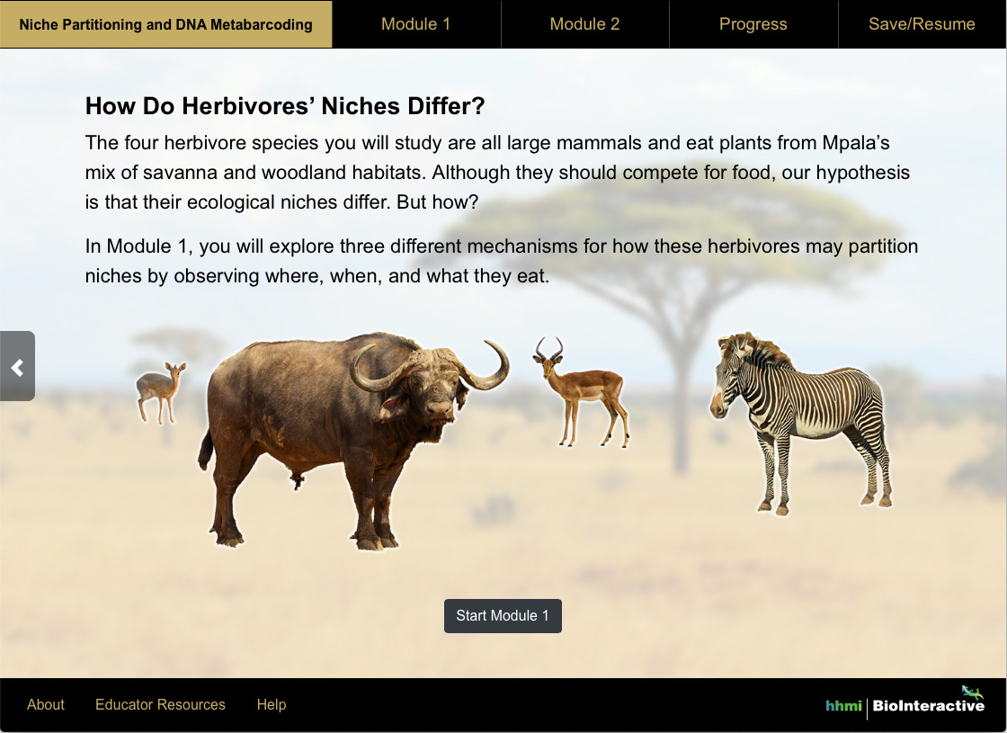 Niche Partitioning and DNA Metabarcoding – Astronaut 3 Media Group Niche Partitioning and DNA Metabarcoding – Astronaut 3 Media Group